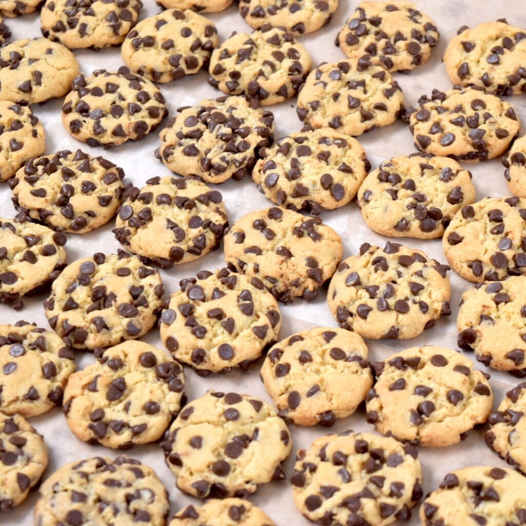 Tienda - Marroncitos